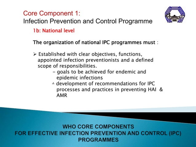 WHO Guidelines on Core Components of Infection Prevention and Control ...