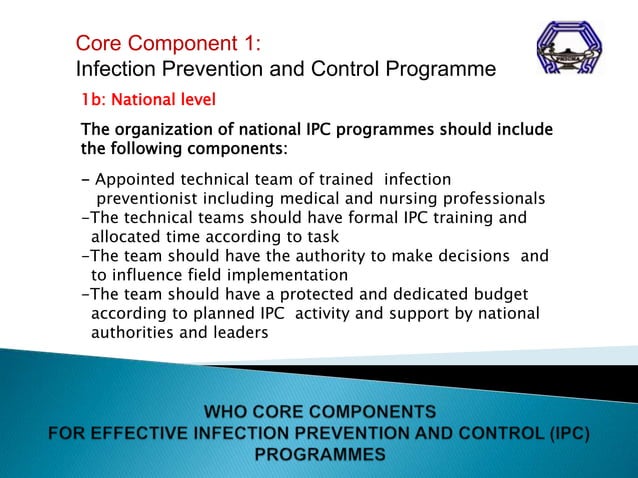 WHO Guidelines on Core Components of Infection Prevention and Control ...