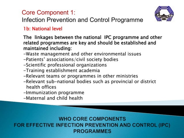 WHO Guidelines on Core Components of Infection Prevention and Control ...