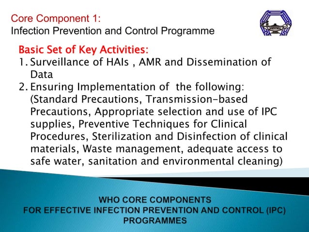 WHO Guidelines on Core Components of Infection Prevention and Control ...