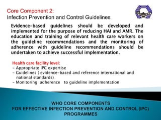 WHO Guidelines on Core Components of Infection Prevention and Control ...