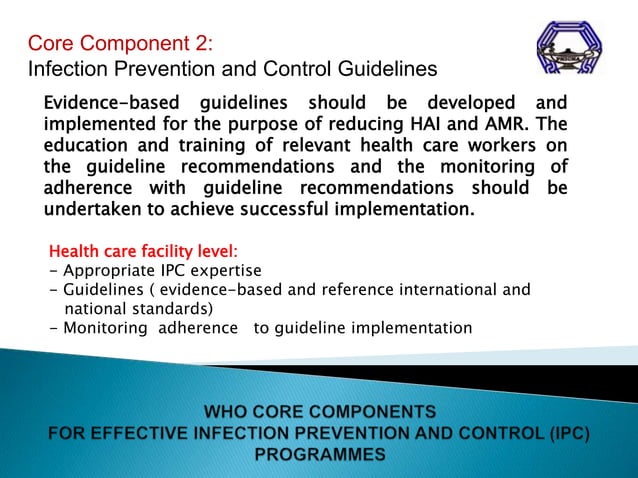 WHO Guidelines on Core Components of Infection Prevention and Control ...