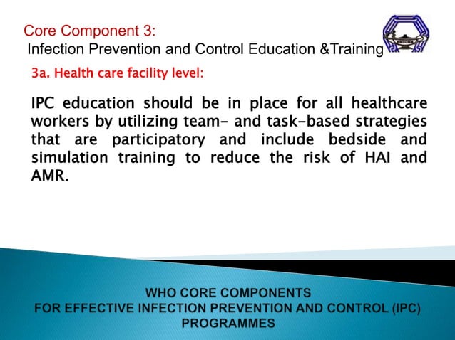 WHO Guidelines on Core Components of Infection Prevention and Control ...