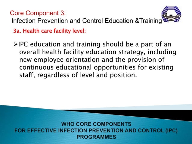 WHO Guidelines on Core Components of Infection Prevention and Control ...