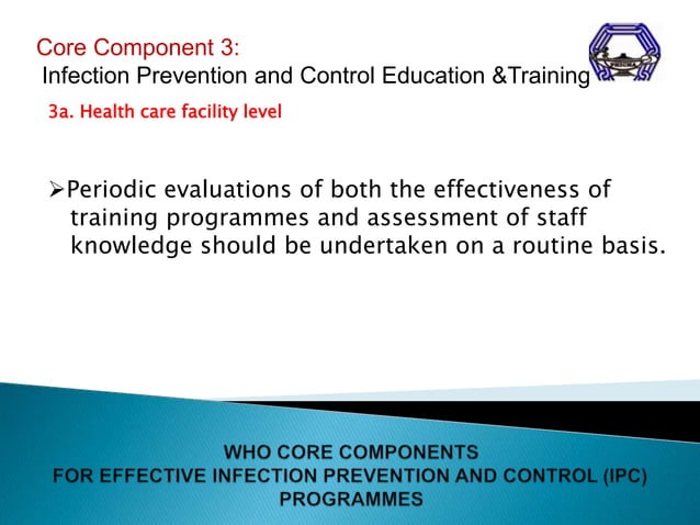 WHO Guidelines on Core Components of Infection Prevention and Control ...