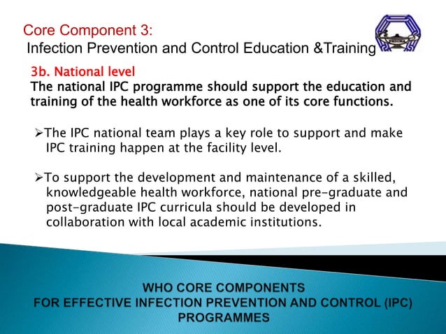 WHO Guidelines on Core Components of Infection Prevention and Control ...