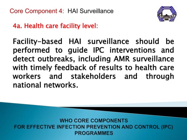 WHO Guidelines on Core Components of Infection Prevention and Control ...