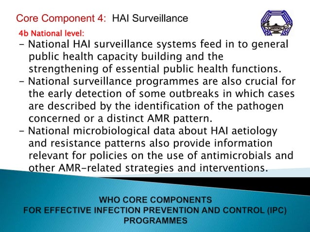 WHO Guidelines on Core Components of Infection Prevention and Control ...