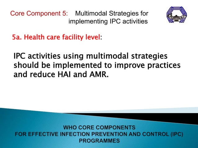 WHO Guidelines on Core Components of Infection Prevention and Control ...