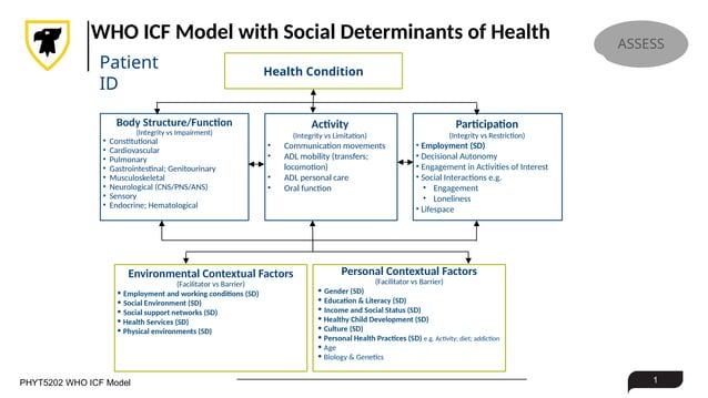 World Health Organization ICF fillable file (1).pptx