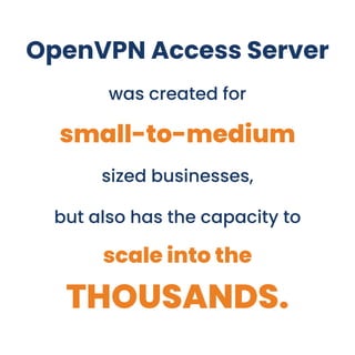 Who is OpenVPN Access Server for? | PDF