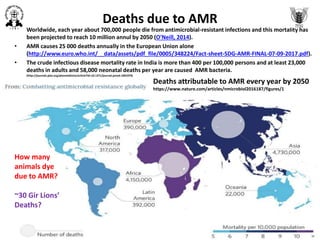 Who is responsible for emergence and spread of AMR? How ?o handle it ...