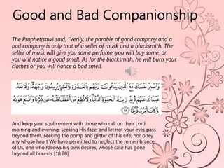 Who is your companion | PPT