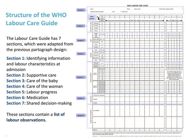 WHO labour guide.pdf