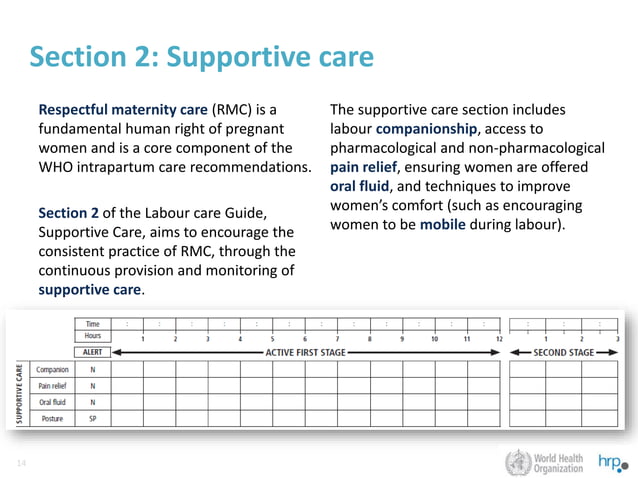 WHO labour guide.pdf