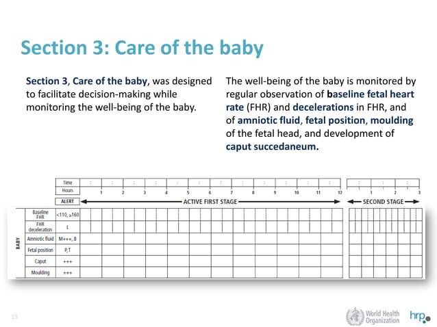 WHO labour guide.pdf