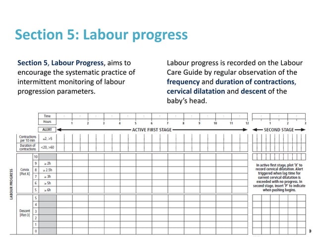WHO labour guide.pdf