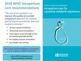 WHO labour guide.pdf