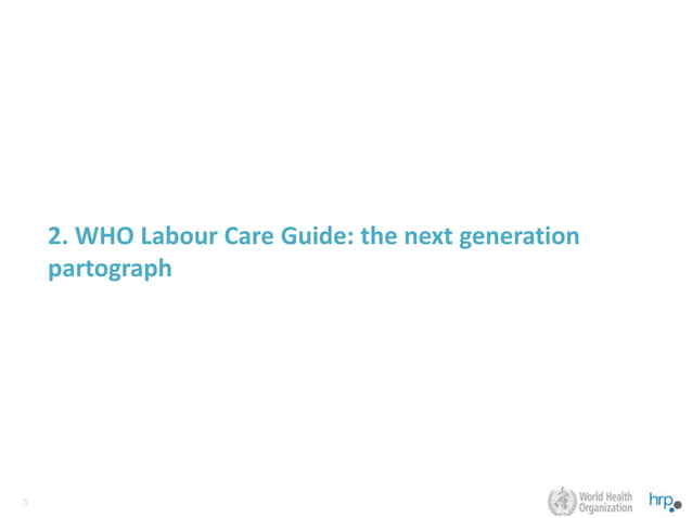 WHO labour guide.pdf