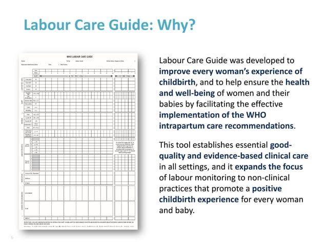 WHO labour guide.pdf