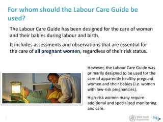 WHO labour guide.pdf