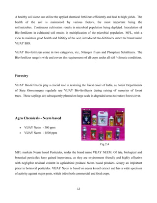 Company Analysis in Madras Fertilizers Limited (MFL) | DOCX
