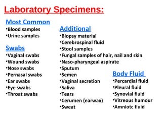 Whole blood, serum & plasma collections | PPT