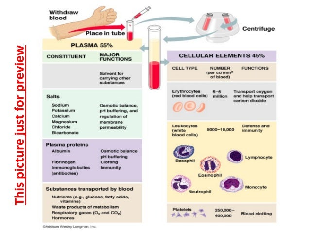 Whole blood, serum & plasma collections