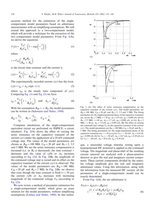 Whole Cell Measurement | PDF