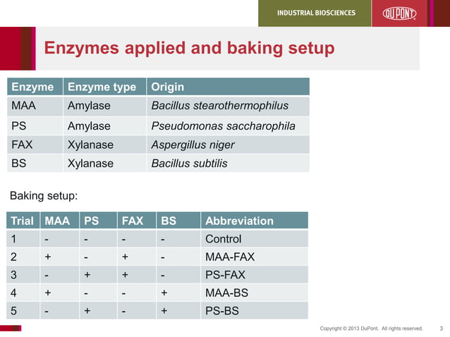 Xylanase and amylase solution for high quality whole meal bread | PDF