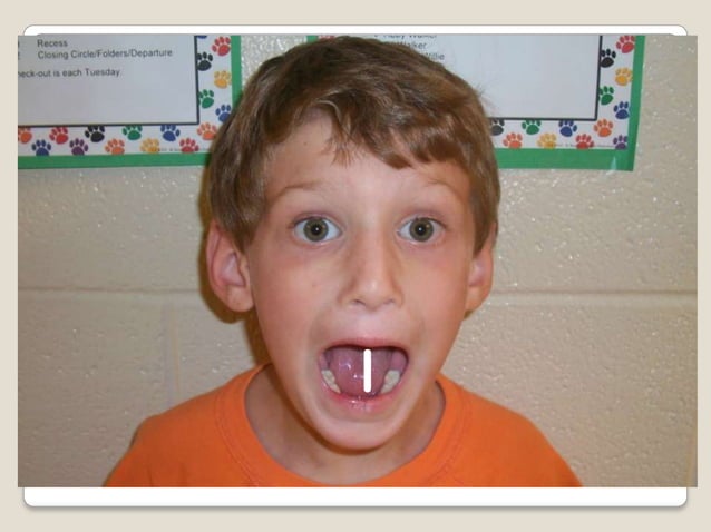 Whole Alphabet in My Mouth | PPTX