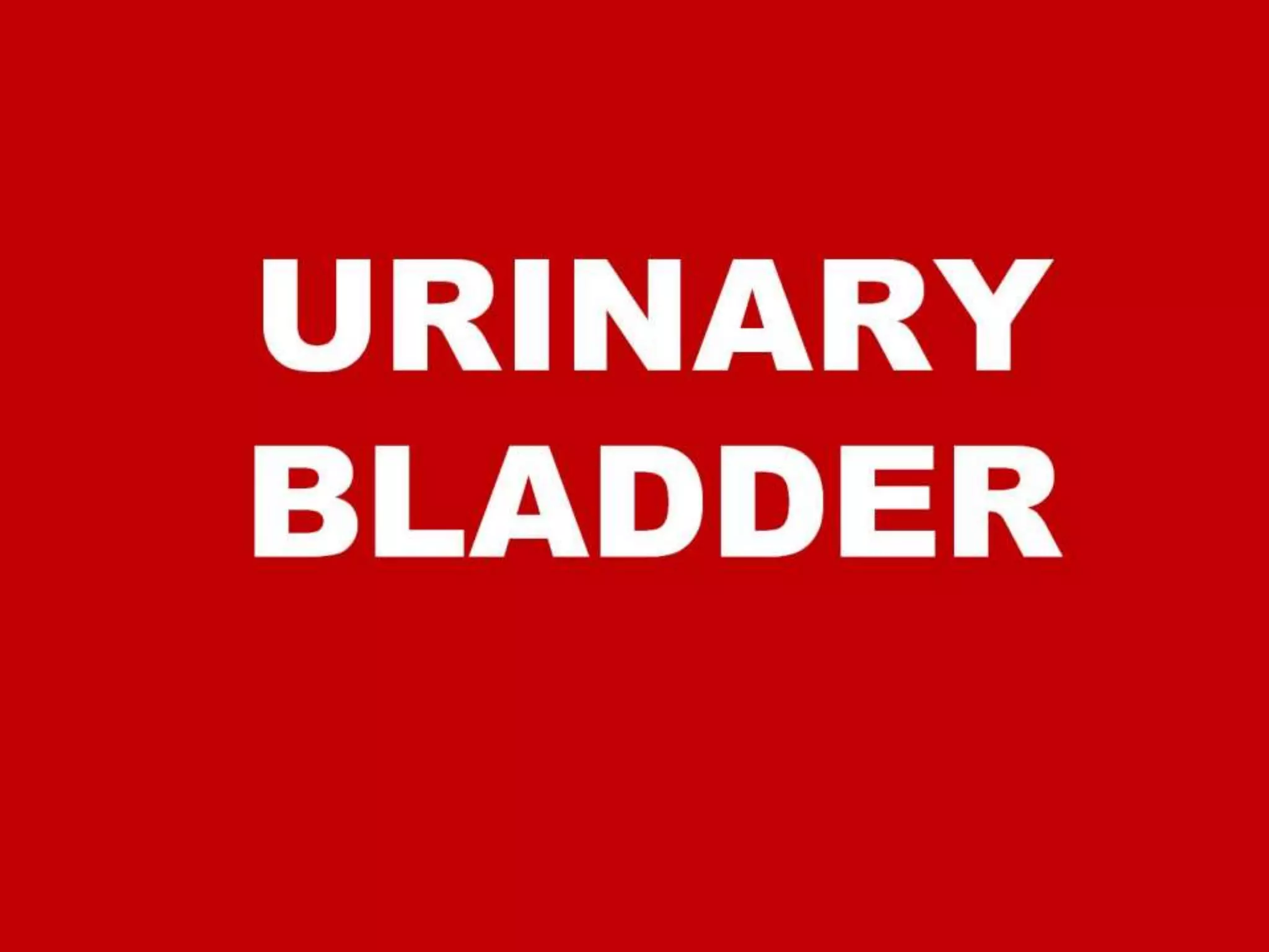 Whole body computed tomography urinary bladder | PPT