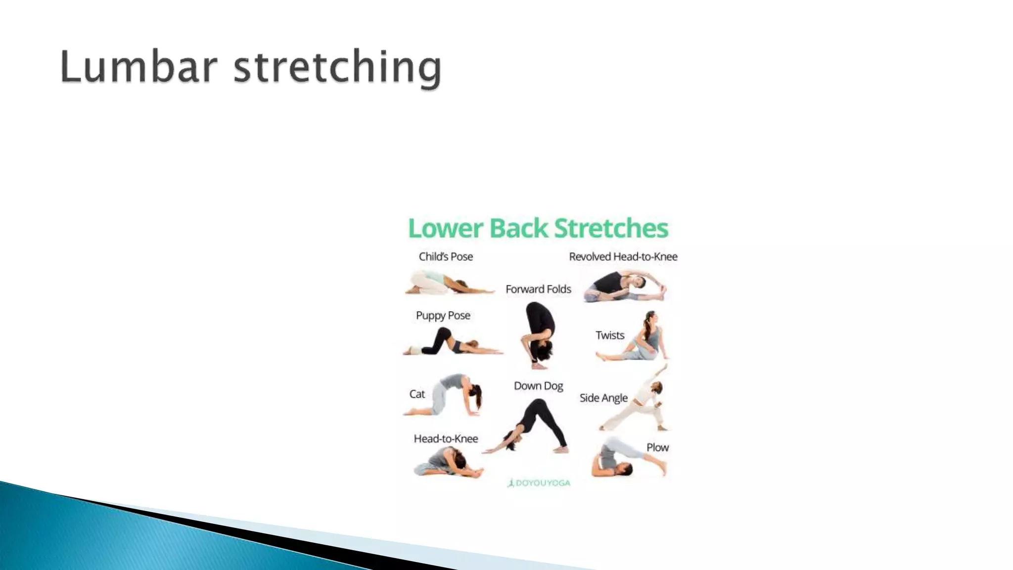 Whole body stretch | PPTX | Bodybuilding | Sports