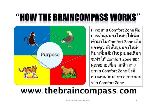 Whole Brain Appreciative Coaching (WBAC) | PDF