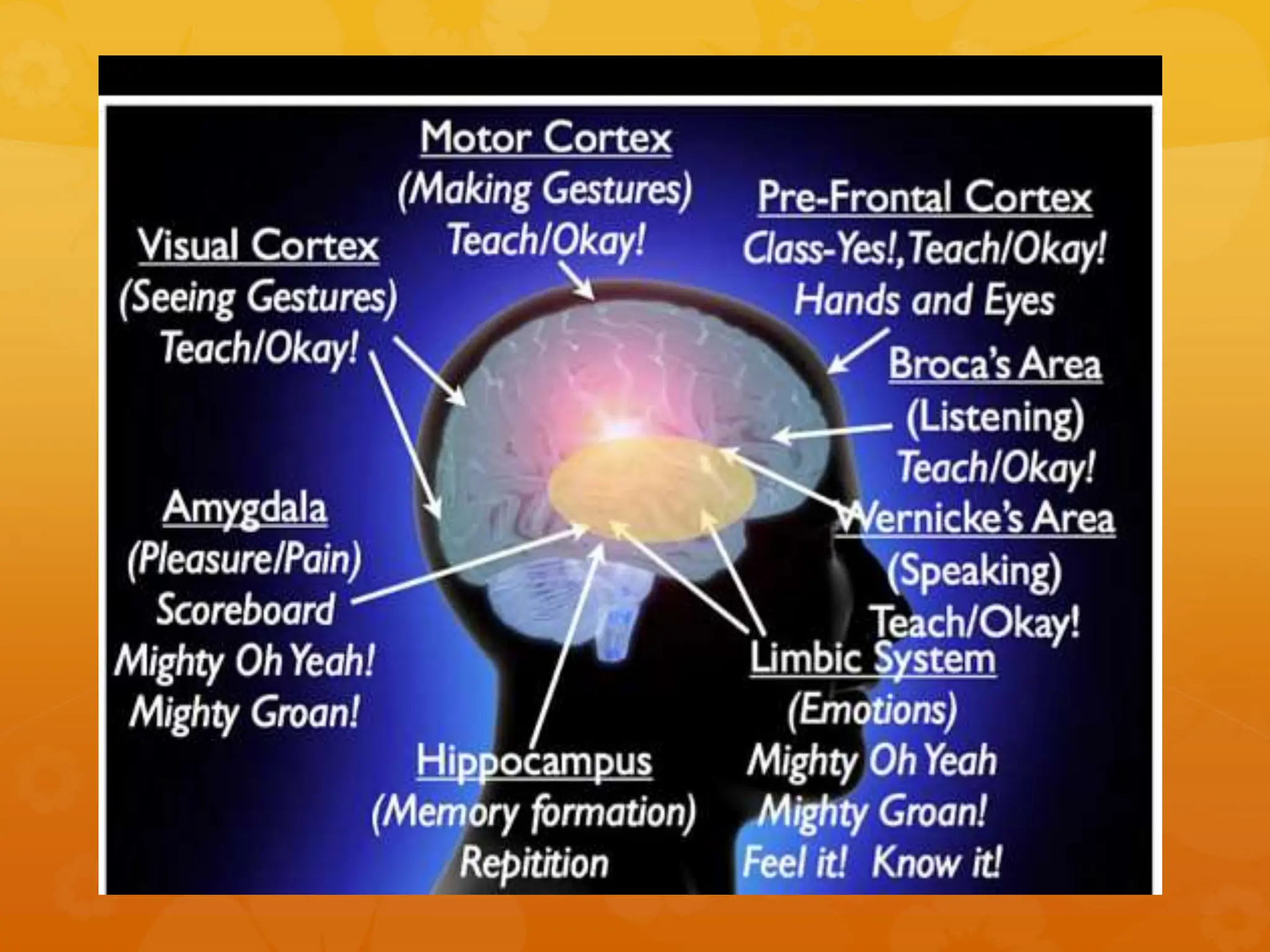 Whole Brain Approach and Microteaching.pptx