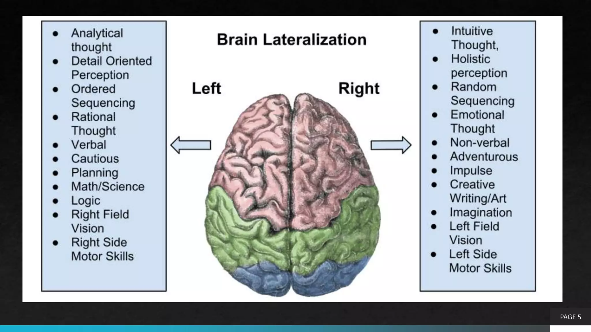 whole brain theory.pptx