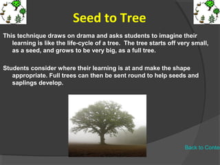 Whole class feedback_guide | PPT | Educational Assessment | Education