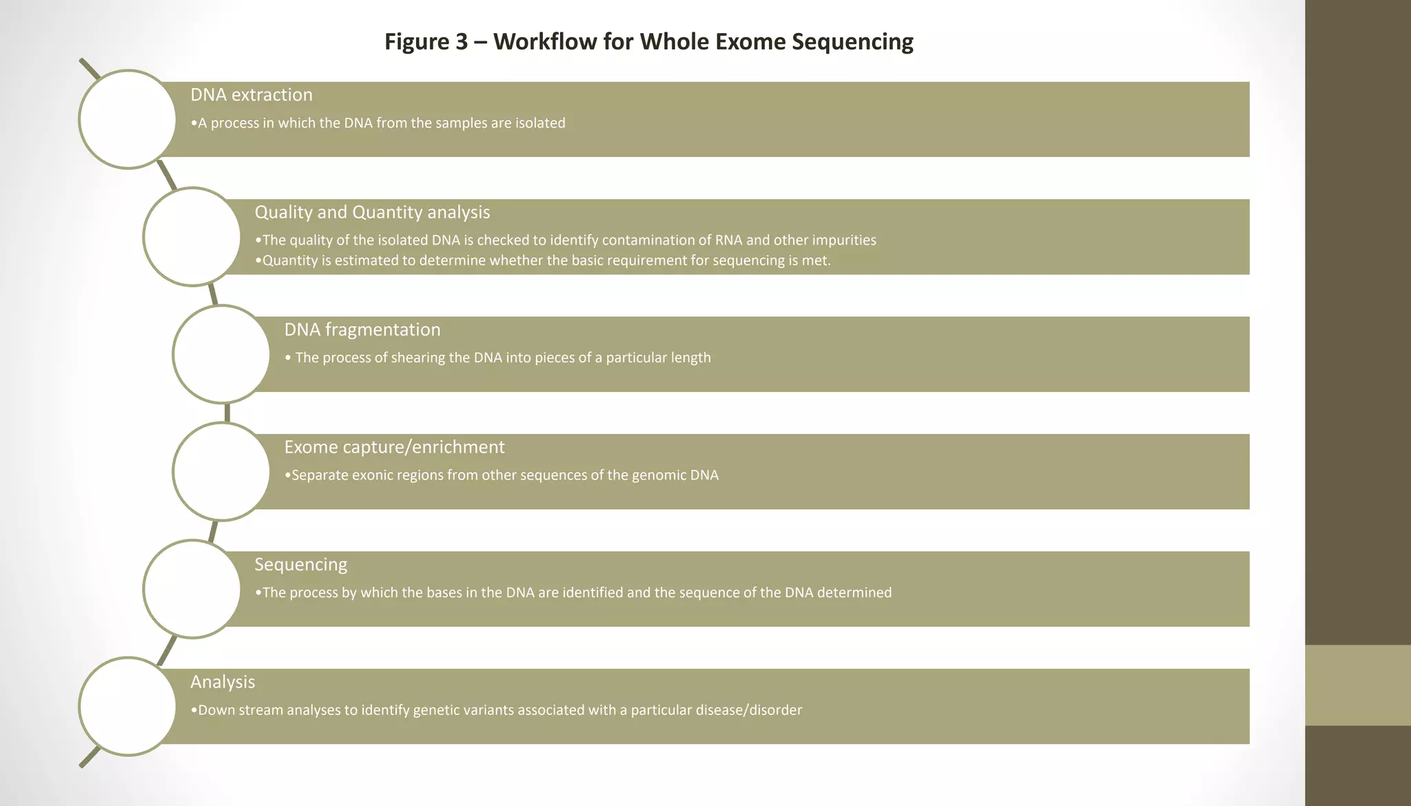 Whole Exome Sequencing Pptx Genetics Science
