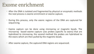 Whole Exome Sequencing .pptx