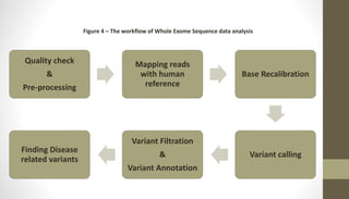 Whole Exome Sequencing .pptx