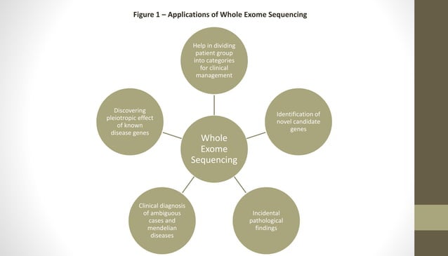 Whole Exome Sequencing .pptx | Genetics | Science