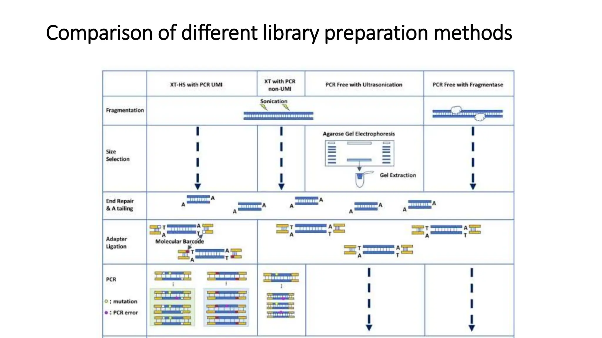 Whole exome sequencing data analysis.pptx