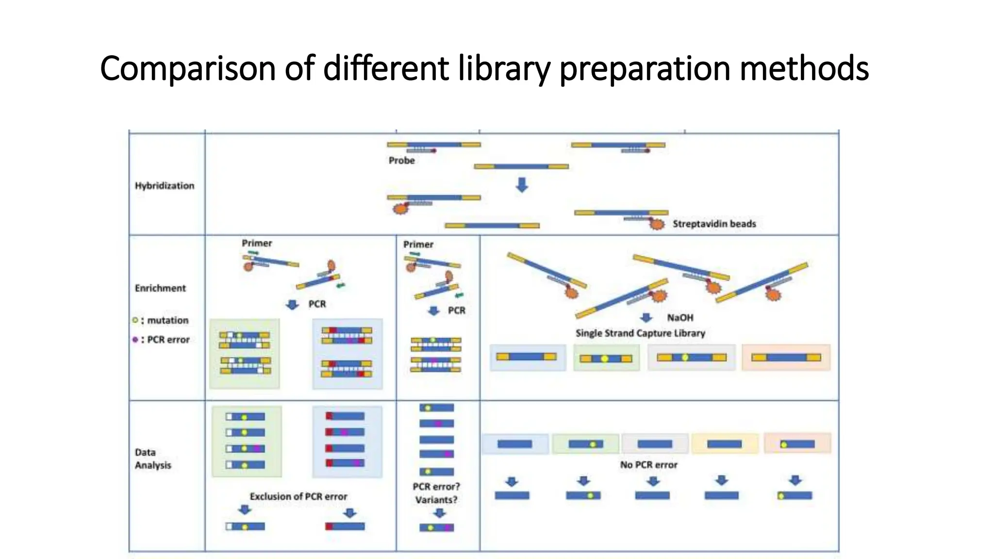 Whole Exome Sequencing Data Analysis Pptx