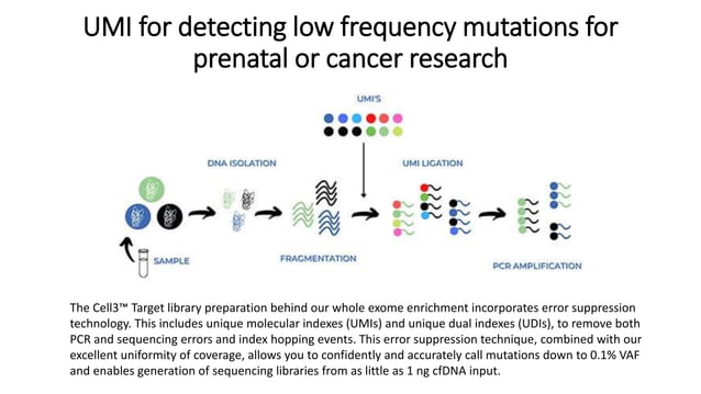 Whole exome sequencing data analysis.pptx | Genetics | Science