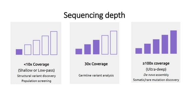 Whole exome sequencing data analysis.pptx | Genetics | Science