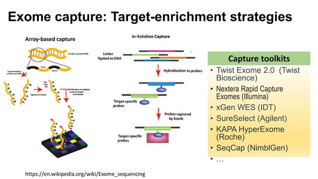 Whole exome sequencing data analysis.pptx | Genetics | Science