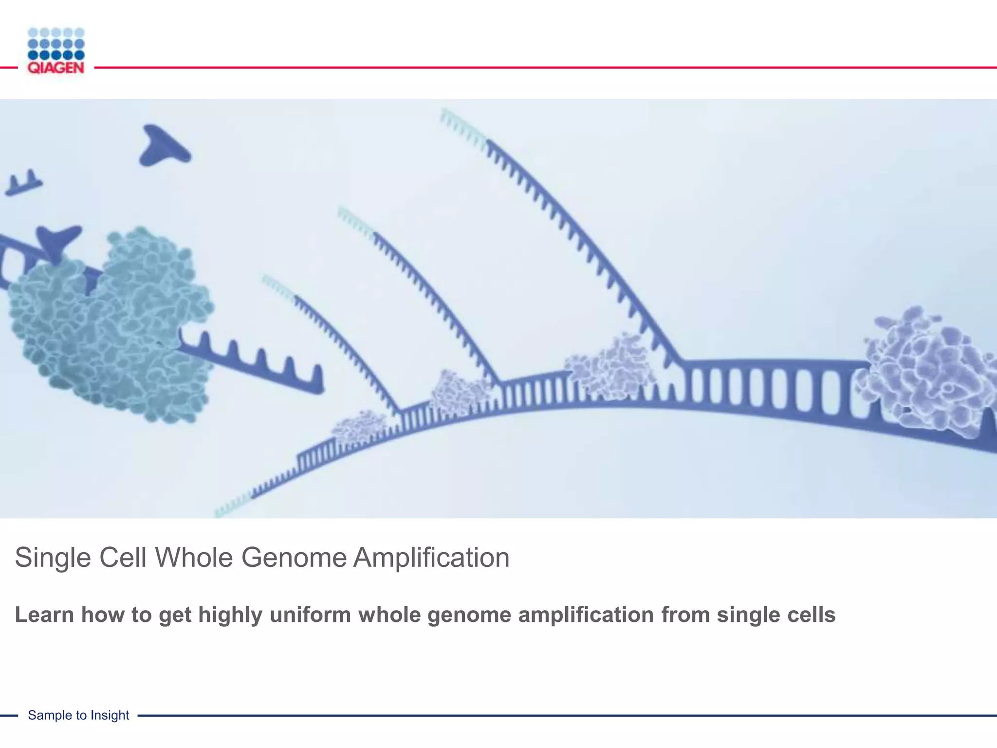 Whole Genome Amplification from Single Cell | PDF