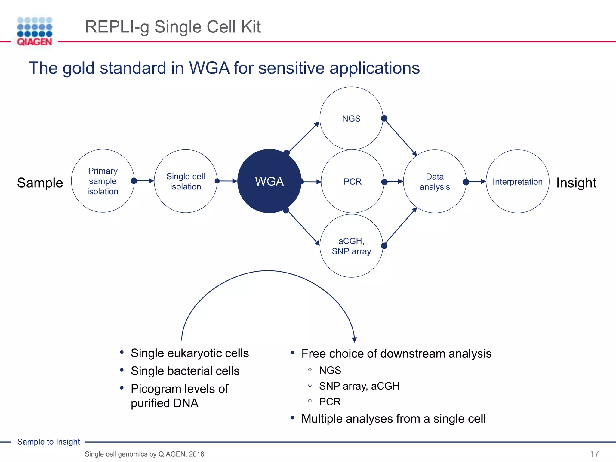 Whole Genome Amplification from Single Cell | PDF