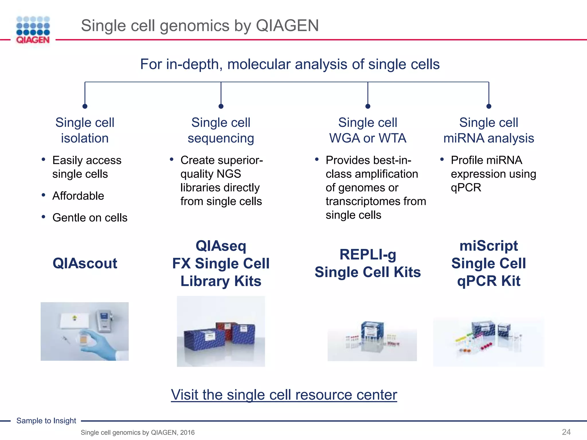 Whole Genome Amplification from Single Cell | PDF