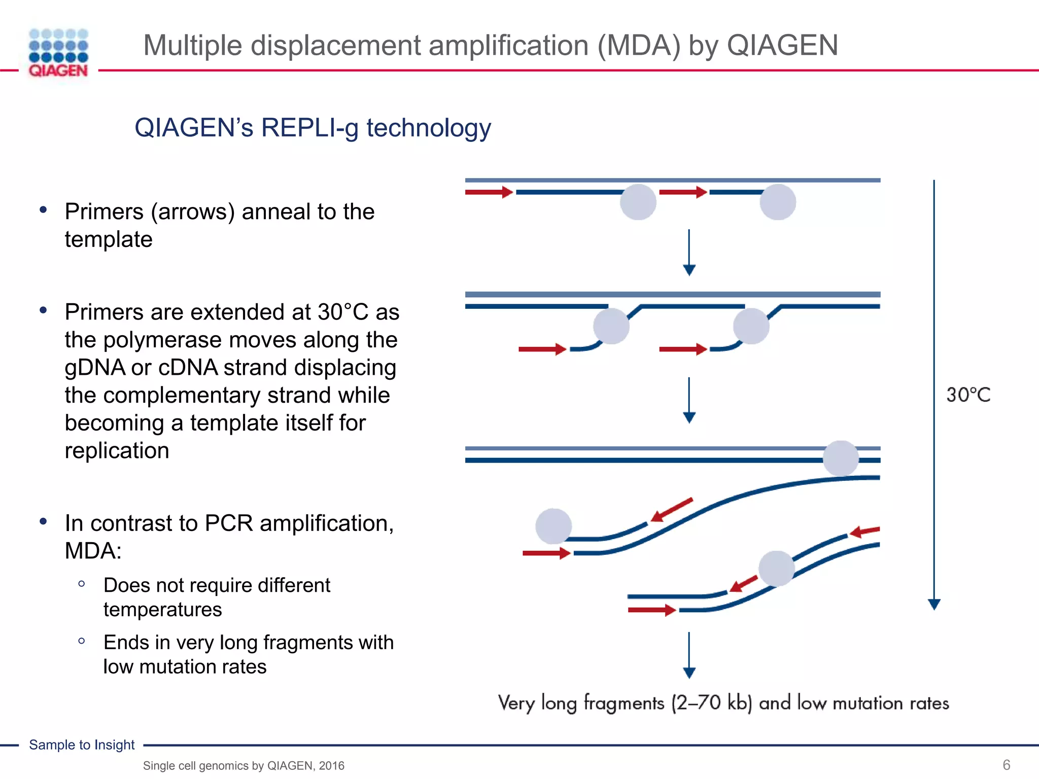 Whole Genome Amplification from Single Cell | PDF